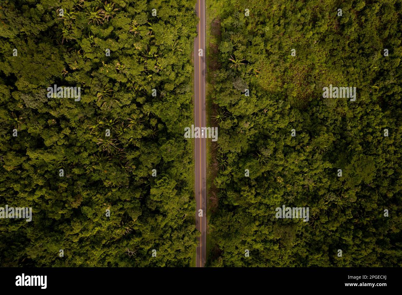 Aerial photo of a stretch of the Hummingbird Highway, surrounded by ...