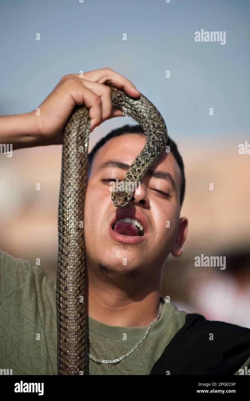 Serpenti hi-res stock photography and images - Alamy