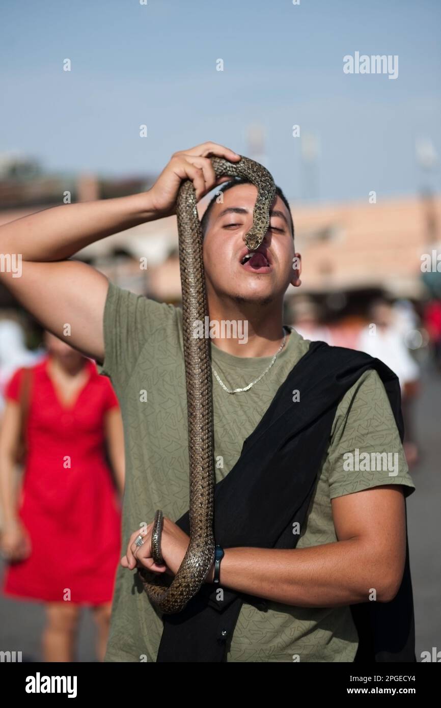 incantarori di serpenti nella piazza jamaa el fna, marrakech, marocco ...