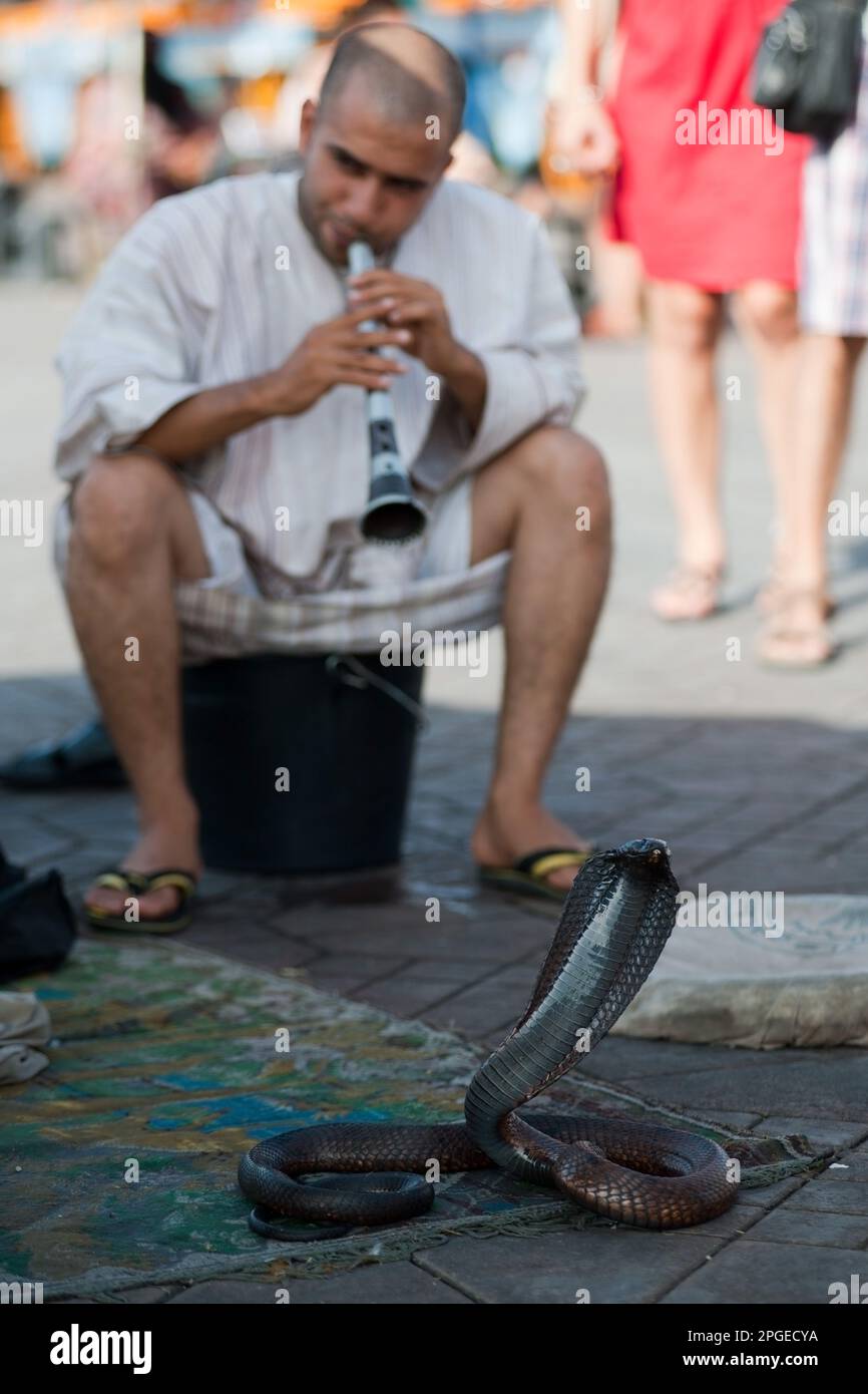 Piazza araba hi-res stock photography and images - Alamy