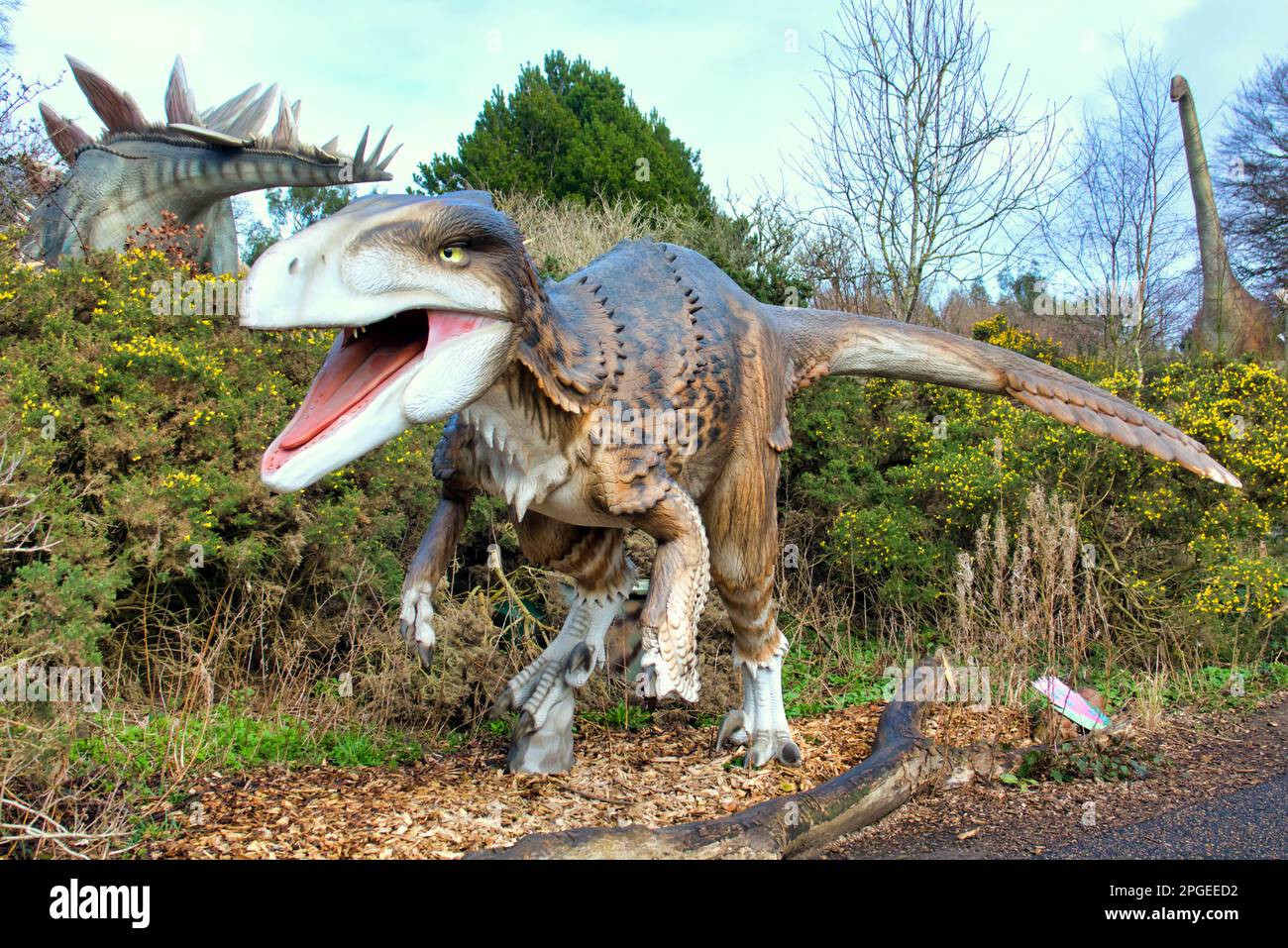 animatronic model of utahraptor at Edinburgh Zoo Hilltop dinosaur ...