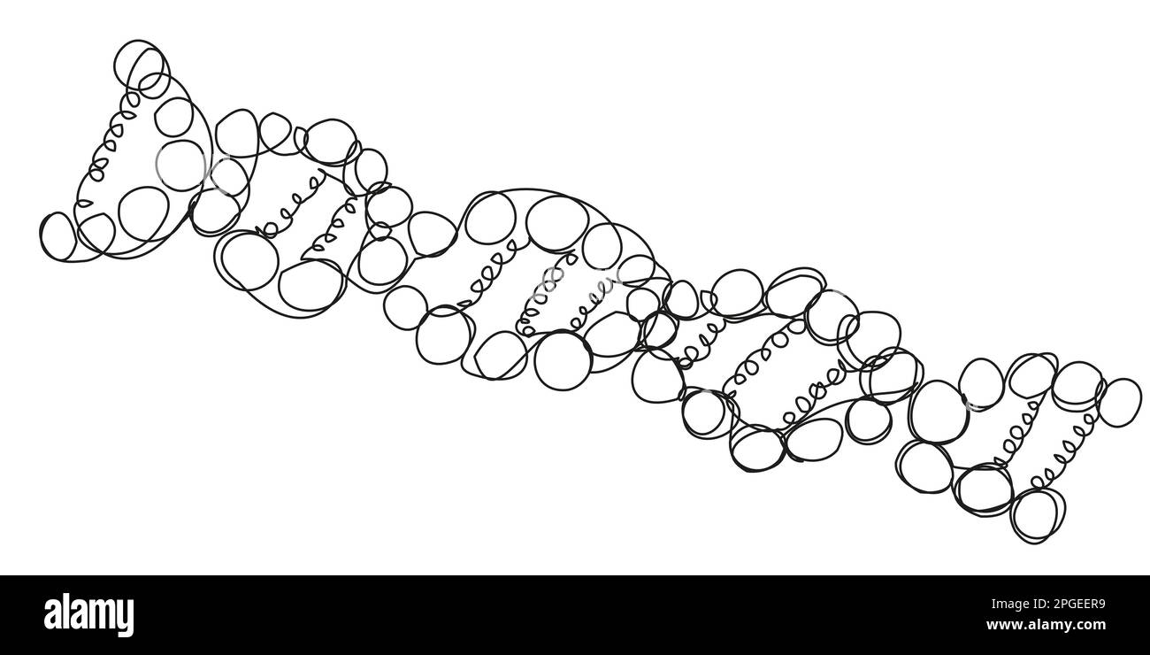 Doodle illustration with deoxyribonucleic acid one line Stock Vector ...
