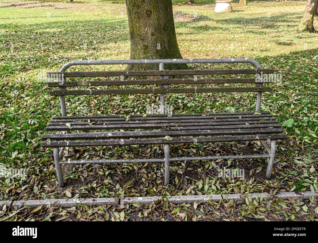 Park bench in front of tree hi-res stock photography and images - Alamy
