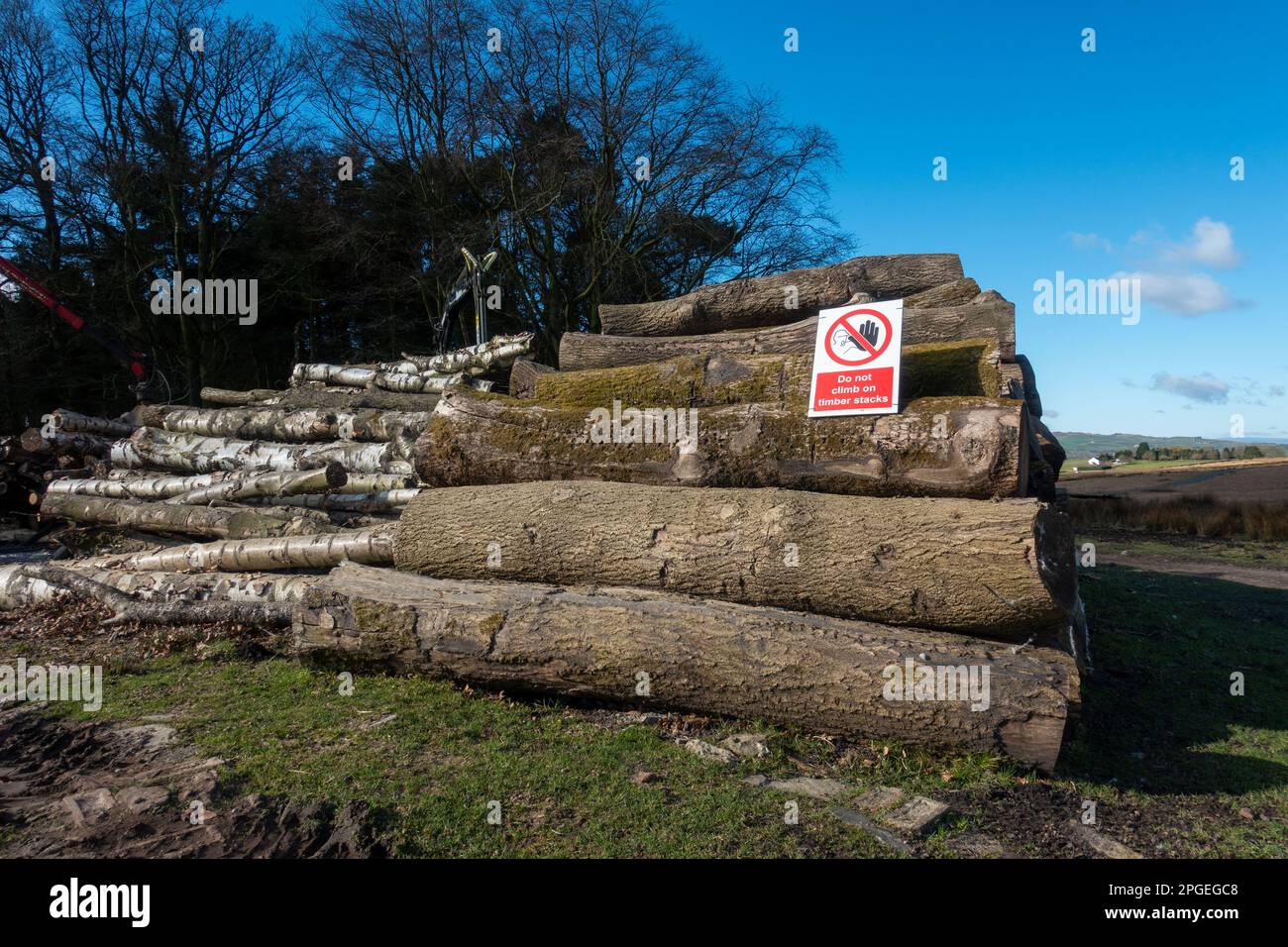 Drying timber hi-res stock photography and images - Alamy