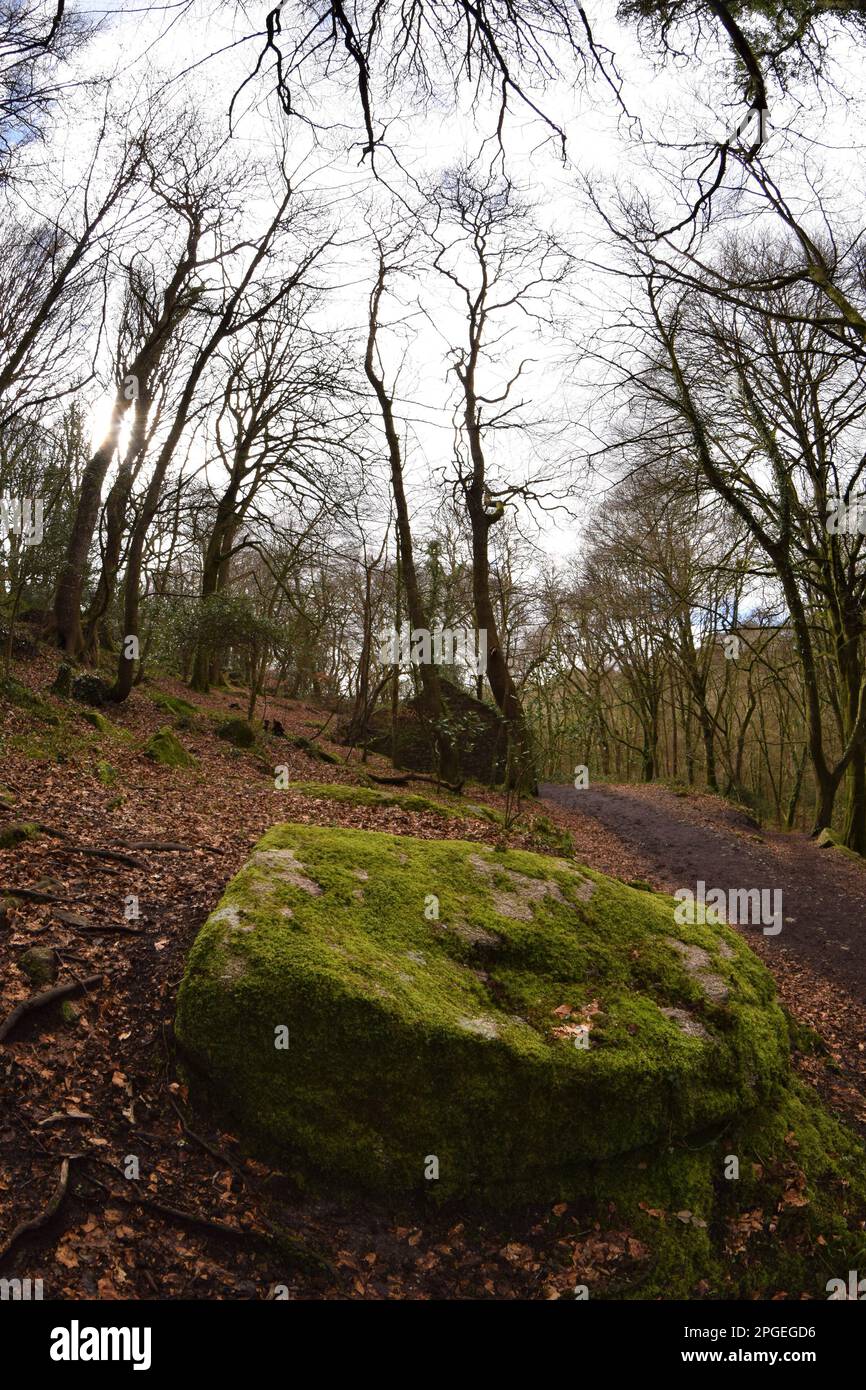 Fisheye view of Rock and Ruined building in Kennall Vale woods Stock ...
