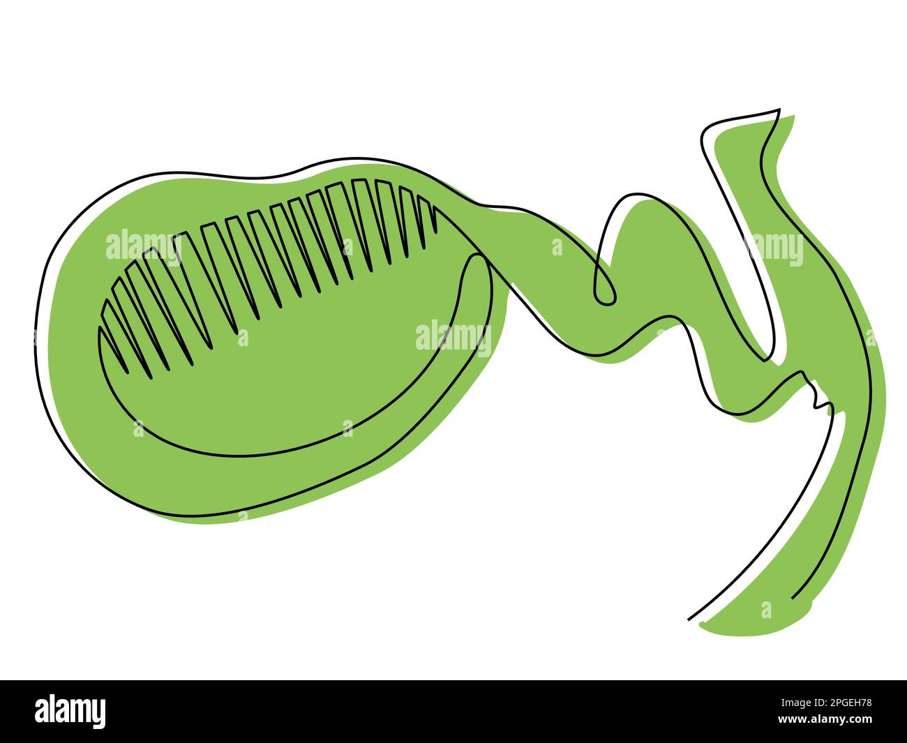 Gallbladder in one line with a green silhouette on a white background ...