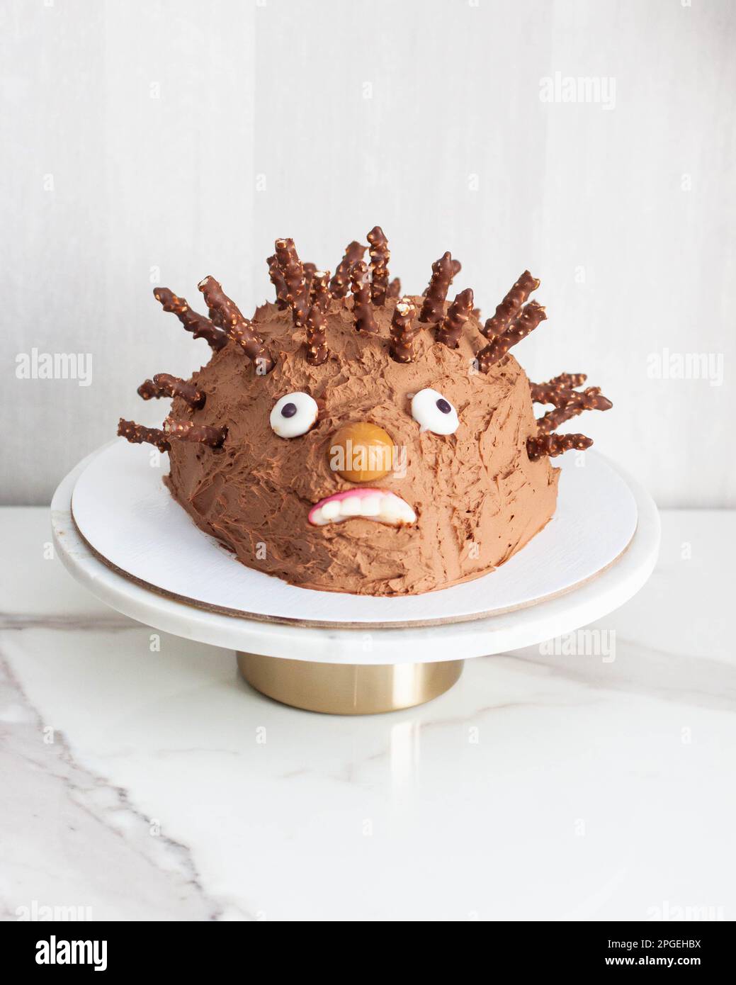 Funny ugly hedgehog cake for children's birthday made of chocolate and ...