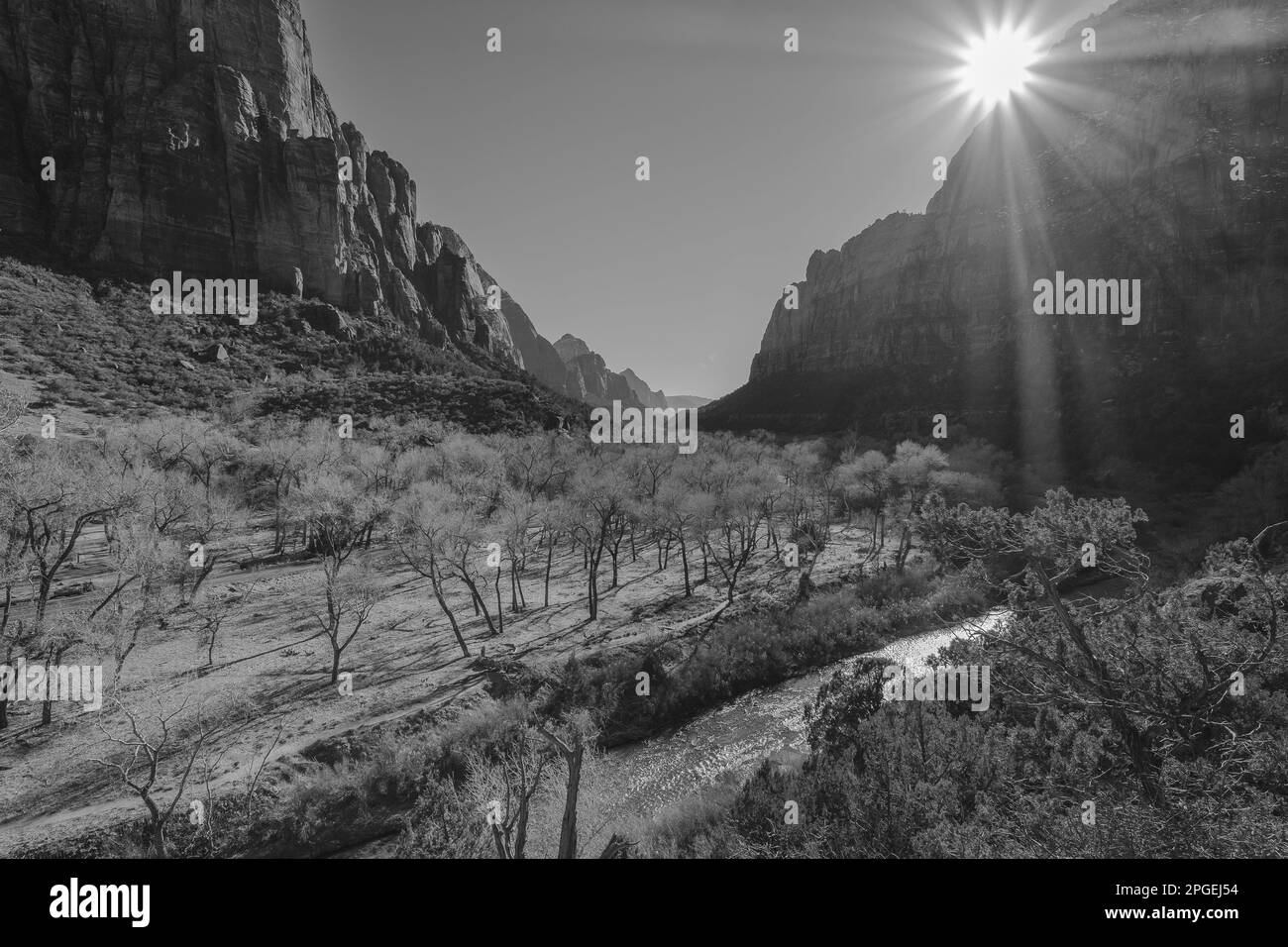 Wooded landscape farmhouse Black and White Stock Photos & Images - Alamy