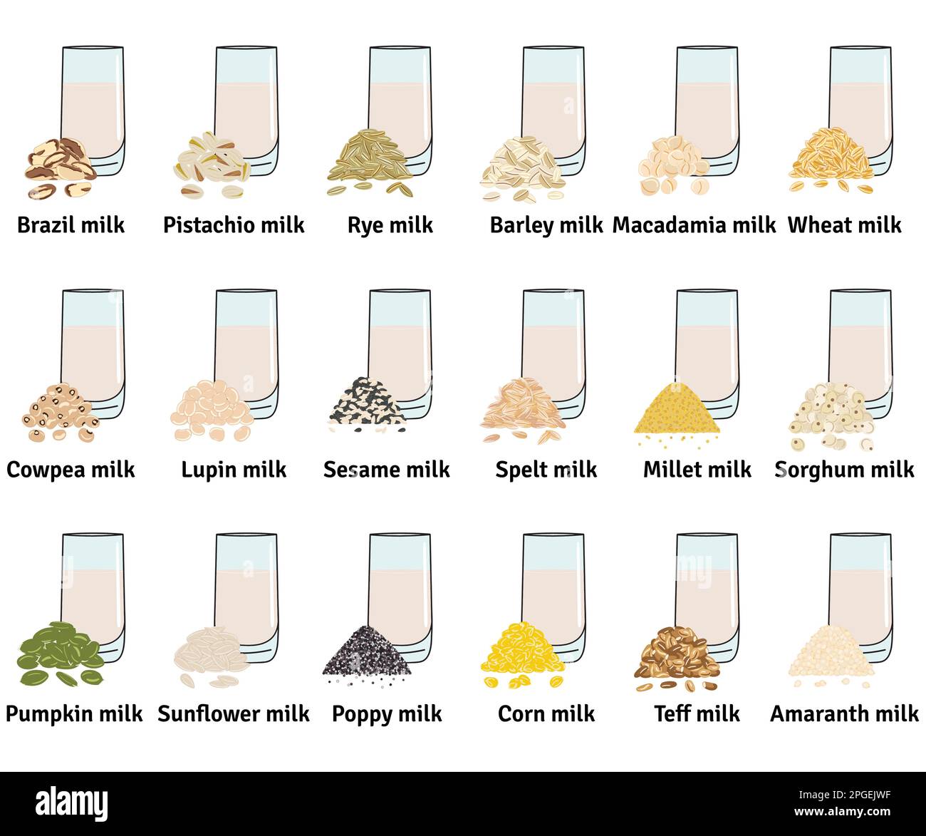 Organic millet cereal plant Stock Vector Images - Alamy