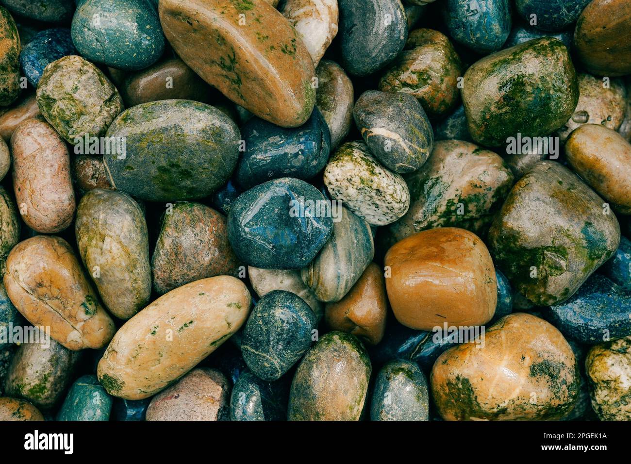 Smooth leaf surface hi-res stock photography and images - Alamy