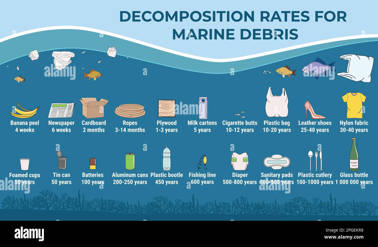 Decomposition Rates For Marine Debris How Long Does It Take To