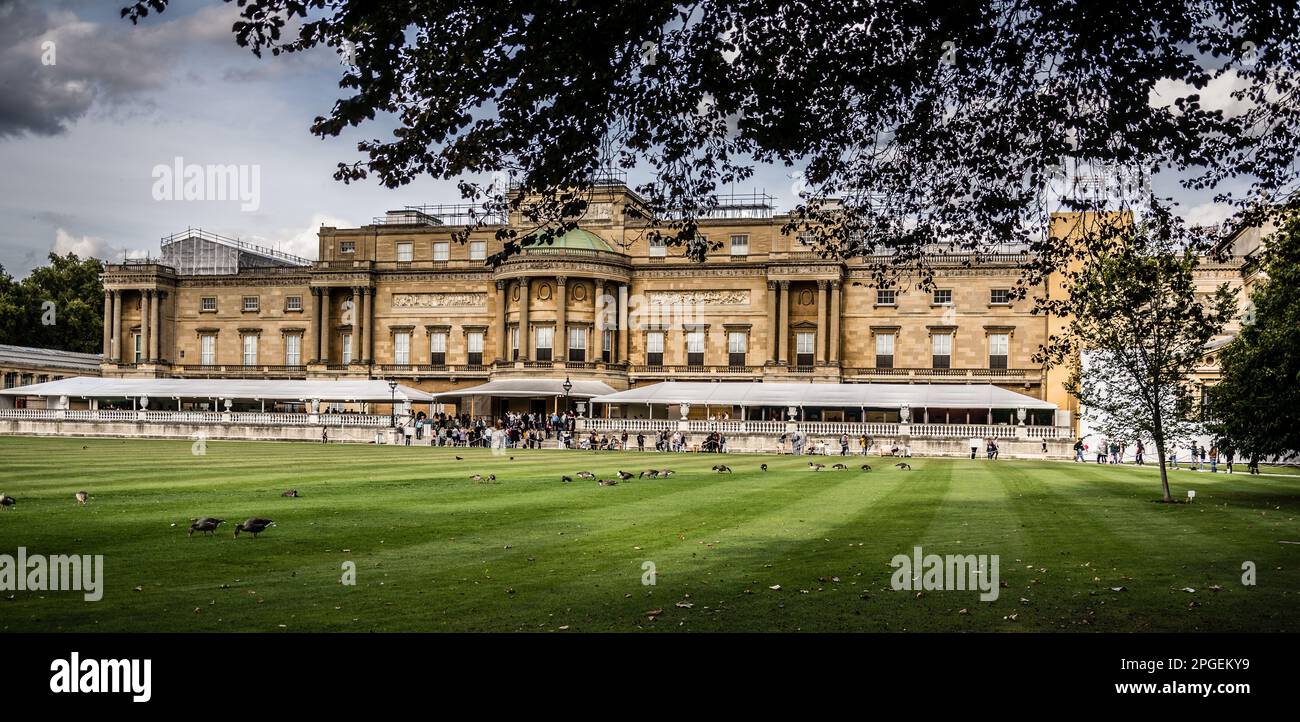 Buckingham palace tree of trees hi-res stock photography and images - Alamy