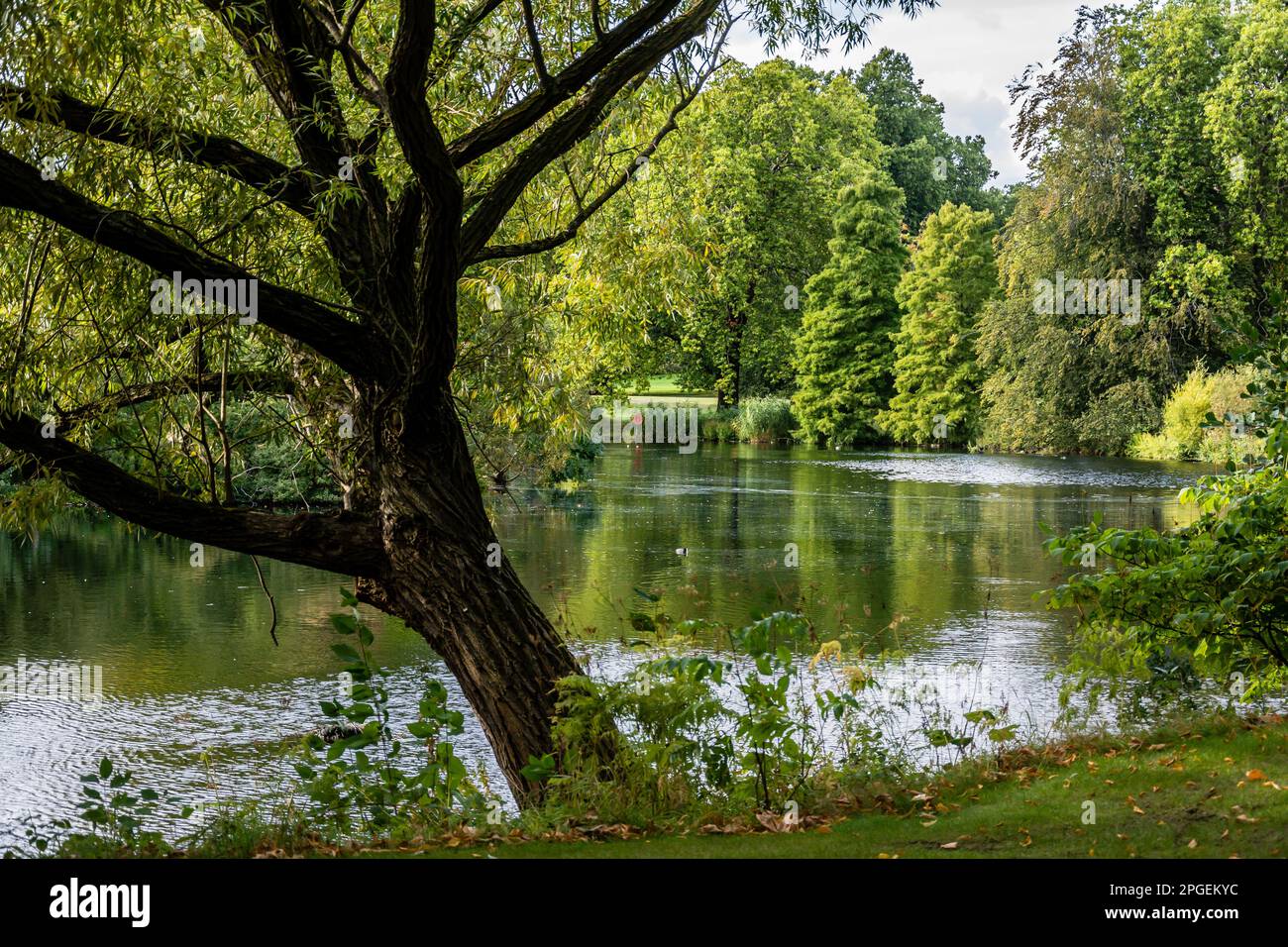 Buckingham Palace Gardens Stock Photo - Alamy