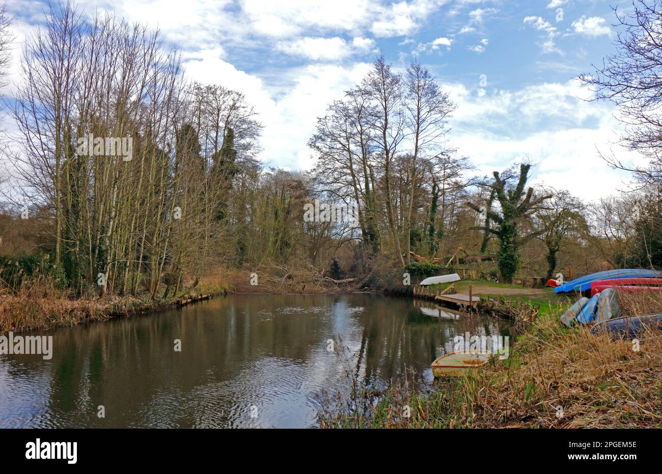 A view on the upper reaches of the River Bure by a small Staithe with ...