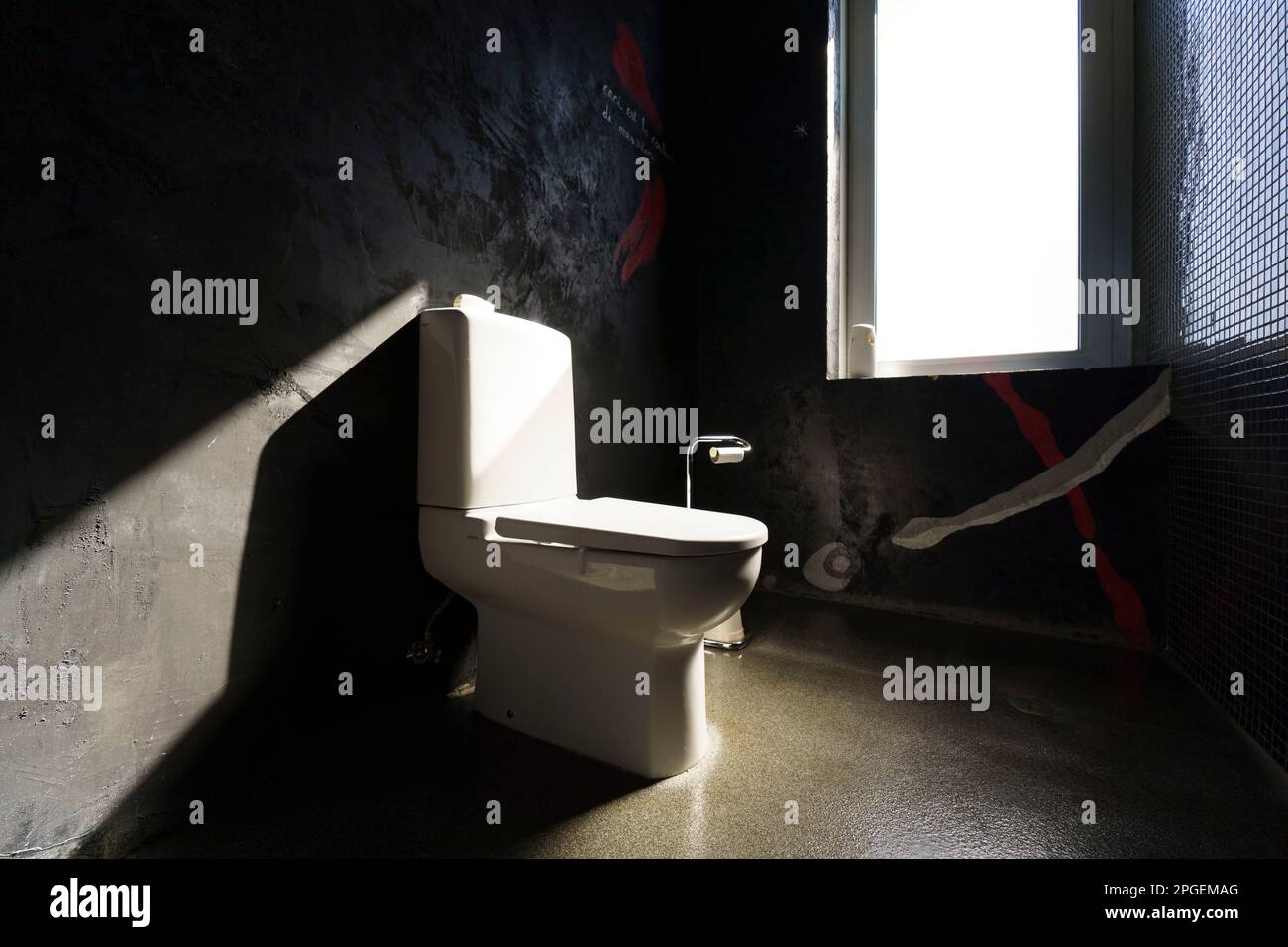 Sunlight coming through a large window illuminating a modern toilet ...