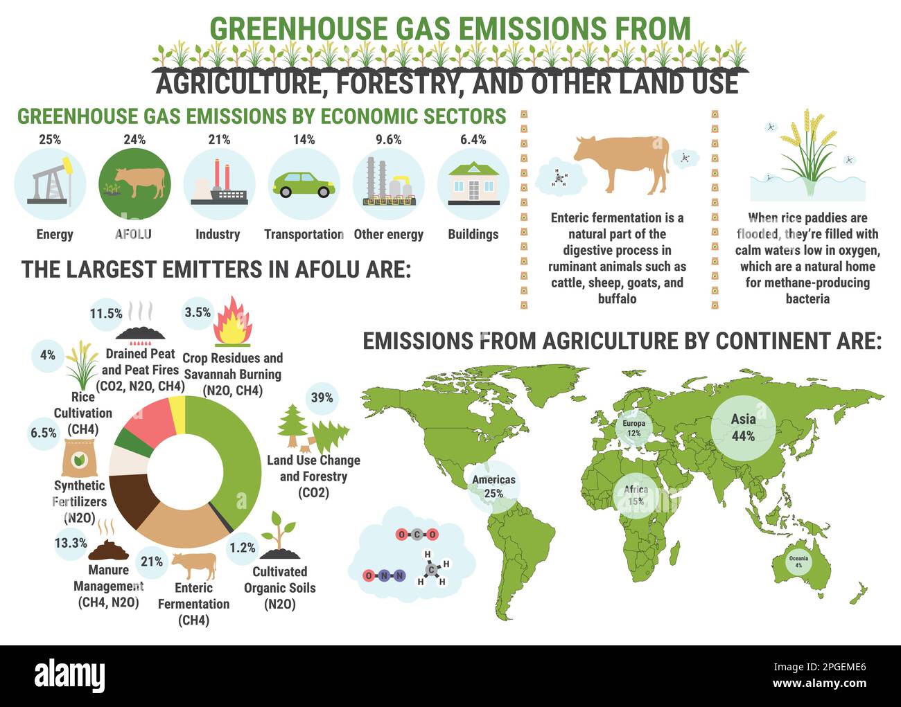 Infographic of global greenhouse gas emissions by agriculture, forestry ...