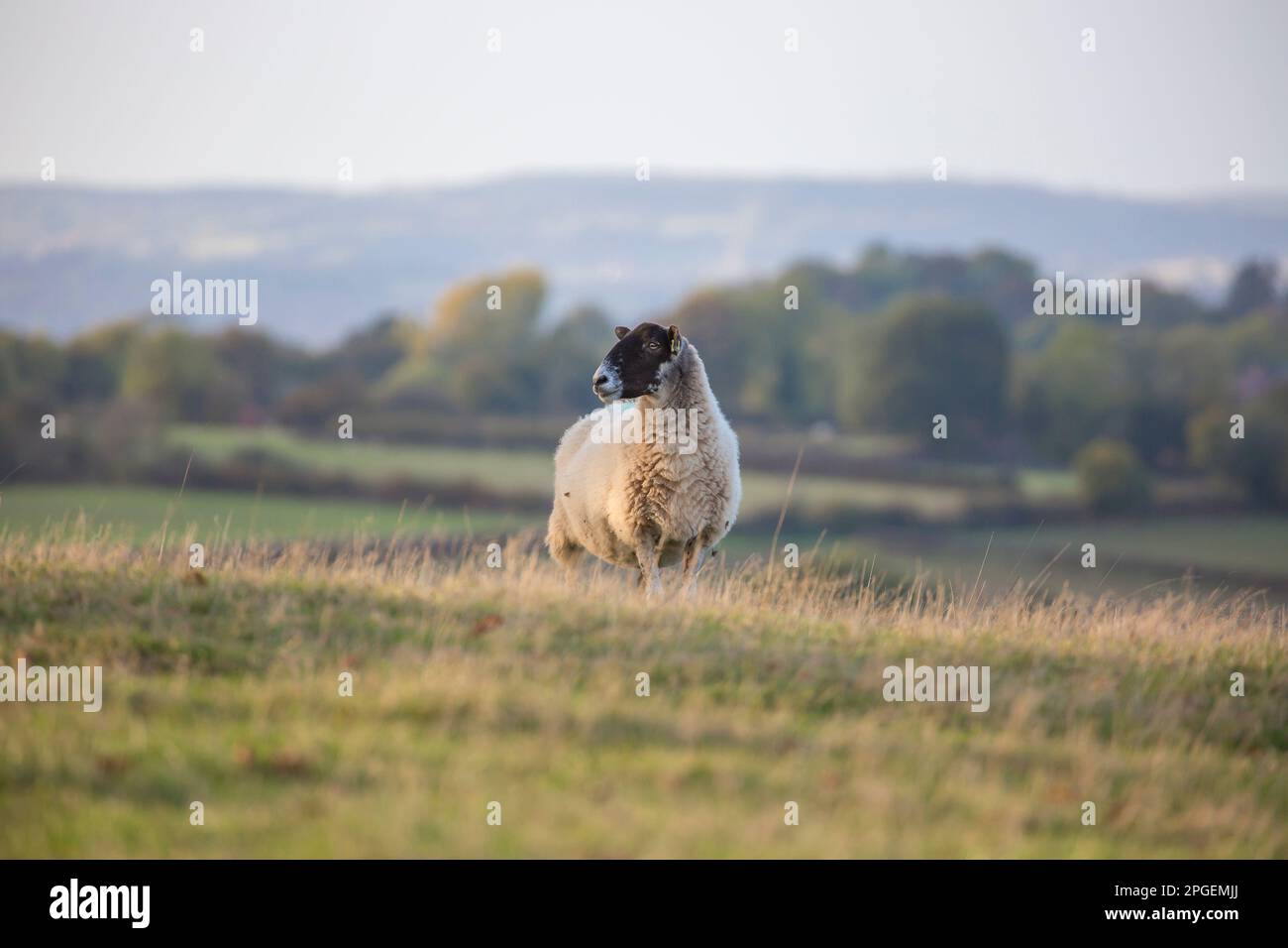 Isolated photography countryside hi-res stock photography and images ...