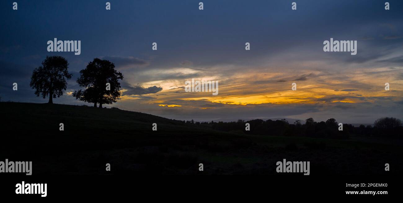 Sunset in countryside trees hi-res stock photography and images - Alamy