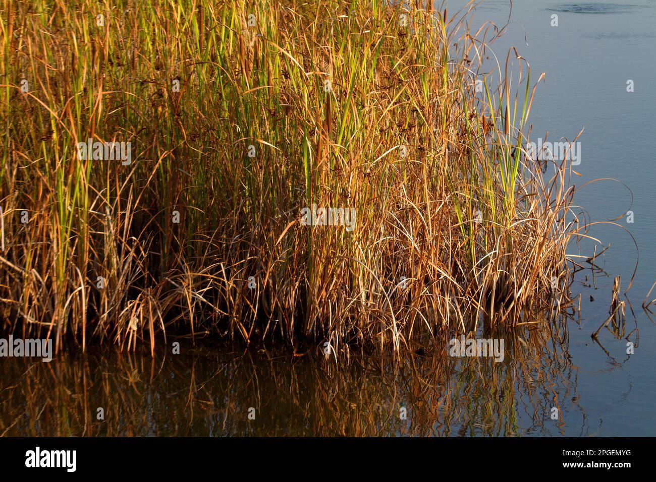 Mati river hi-res stock photography and images - Alamy