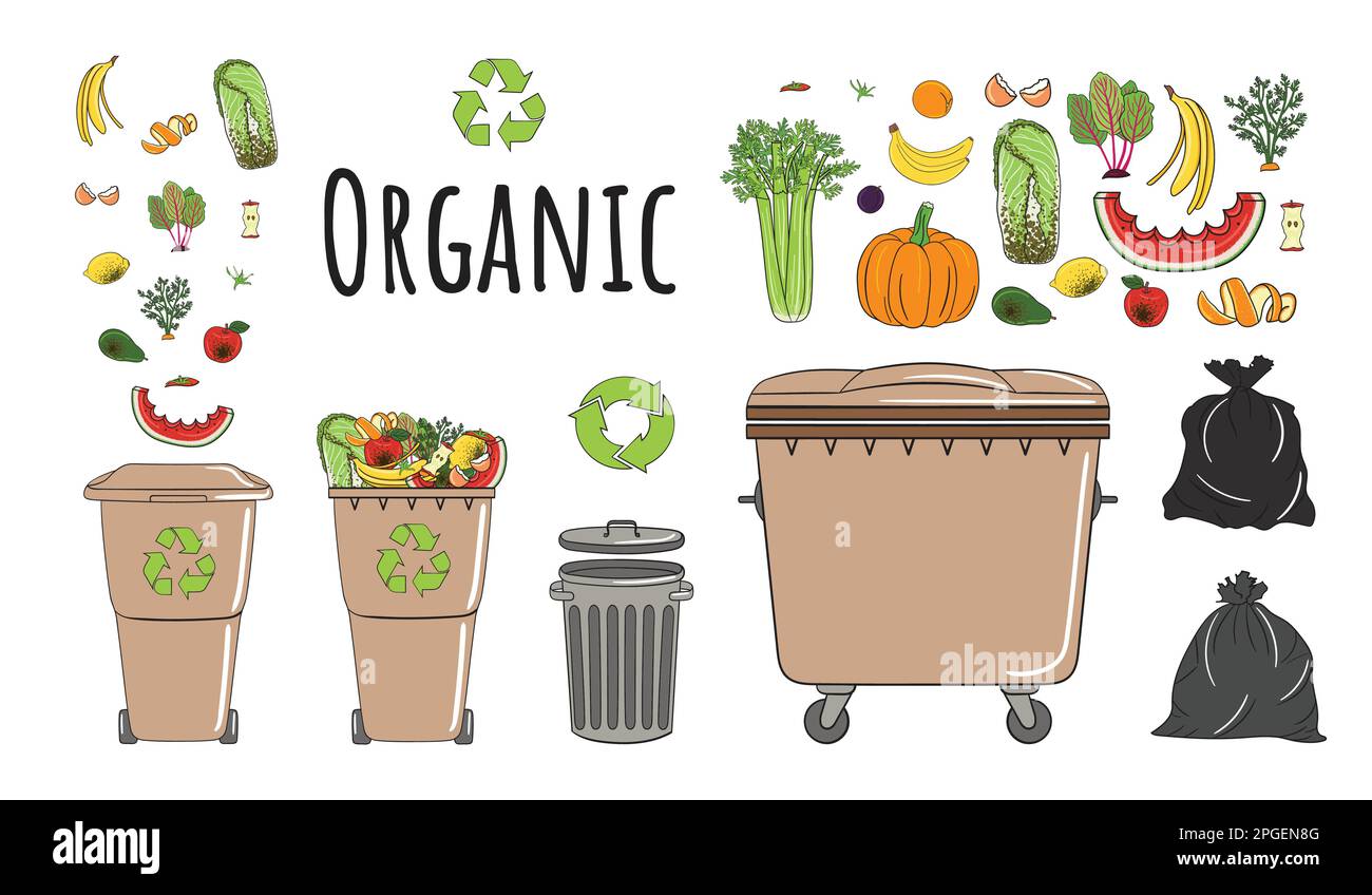 Set of garbage cans with organic garbage. Recycle trash bins full of ...