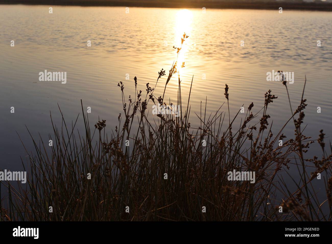 Beautiful landscape view mati hi-res stock photography and images - Alamy