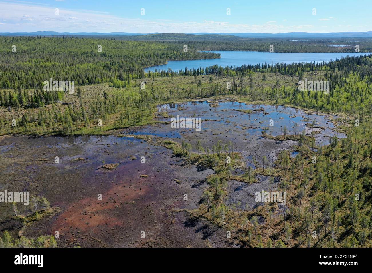 See, Teich, Sumpf, Sumpfgebiet und Wald in Schweden, borealer Nadelwald ...