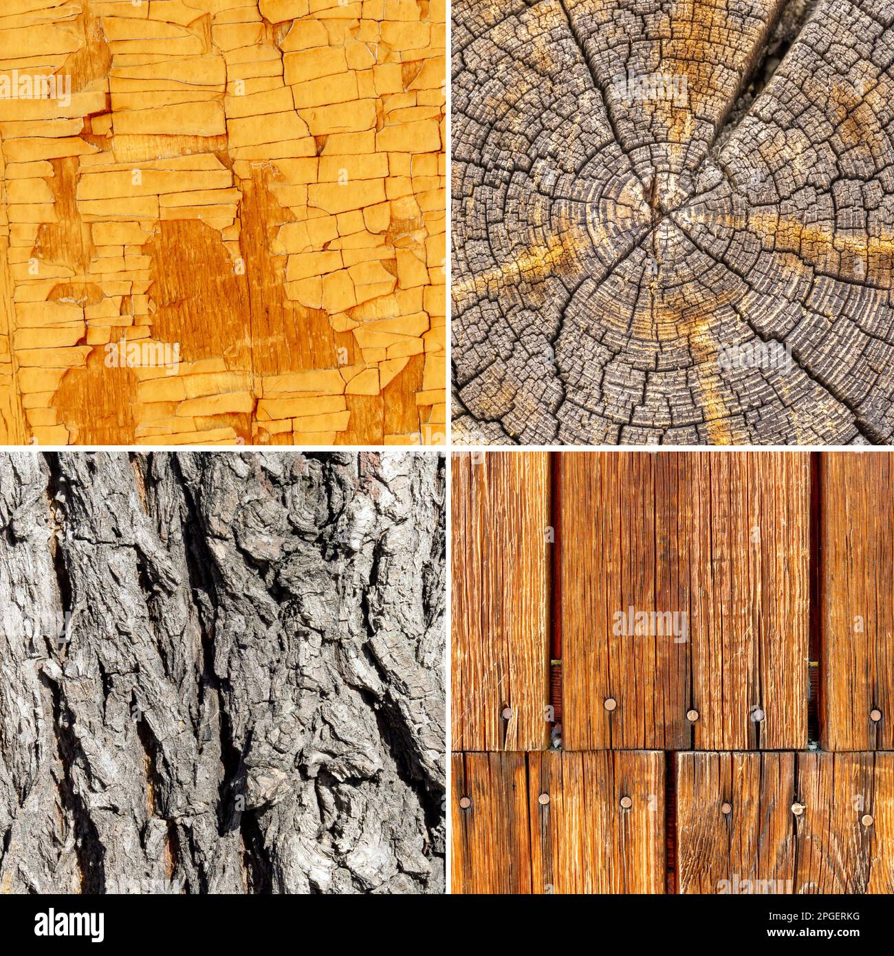 Wood texture collage, wooden fence banner. Close-up, square Stock Photo ...