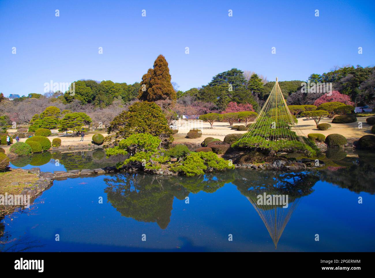 Japan, Tokyo,Shinjuku Gyoen, National Garden, park Stock Photo - Alamy