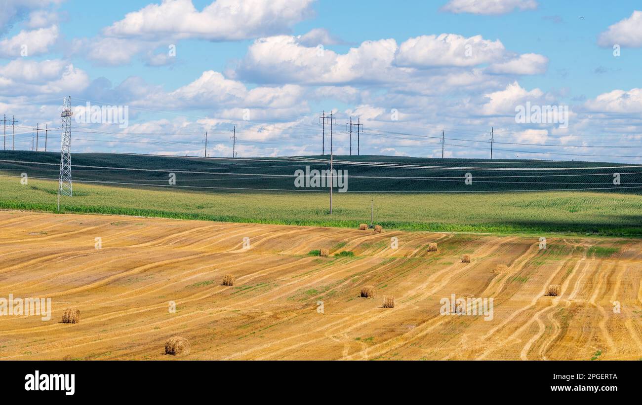 power lines agricultural fields panorama Stock Photo - Alamy