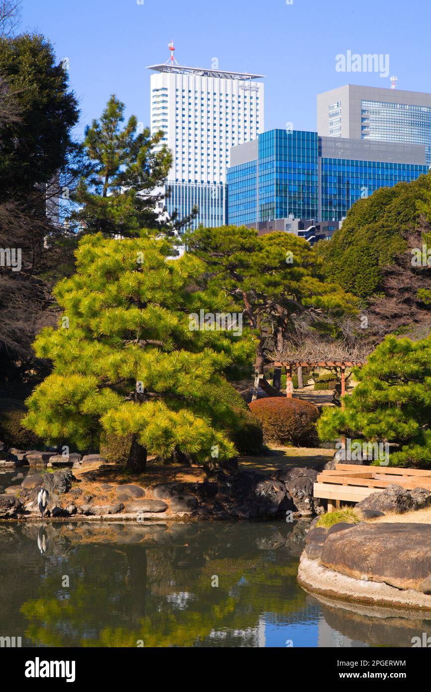 Japan, Tokyo,Shinjuku Gyoen, National Garden, park Stock Photo - Alamy