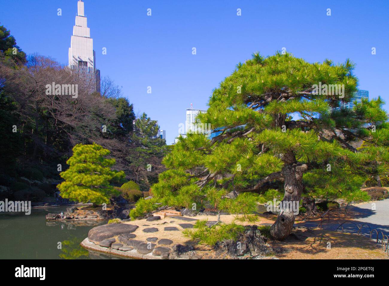 Japan, Tokyo,Shinjuku Gyoen, National Garden, park Stock Photo - Alamy