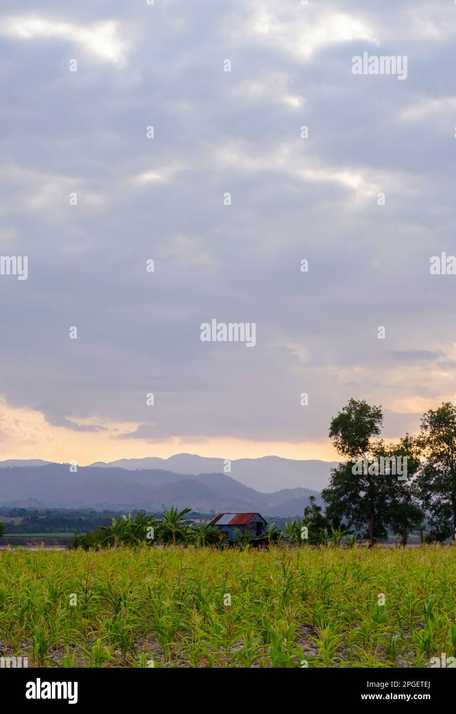 Inspirational landscape of distant ridge and agricultural fields in ...