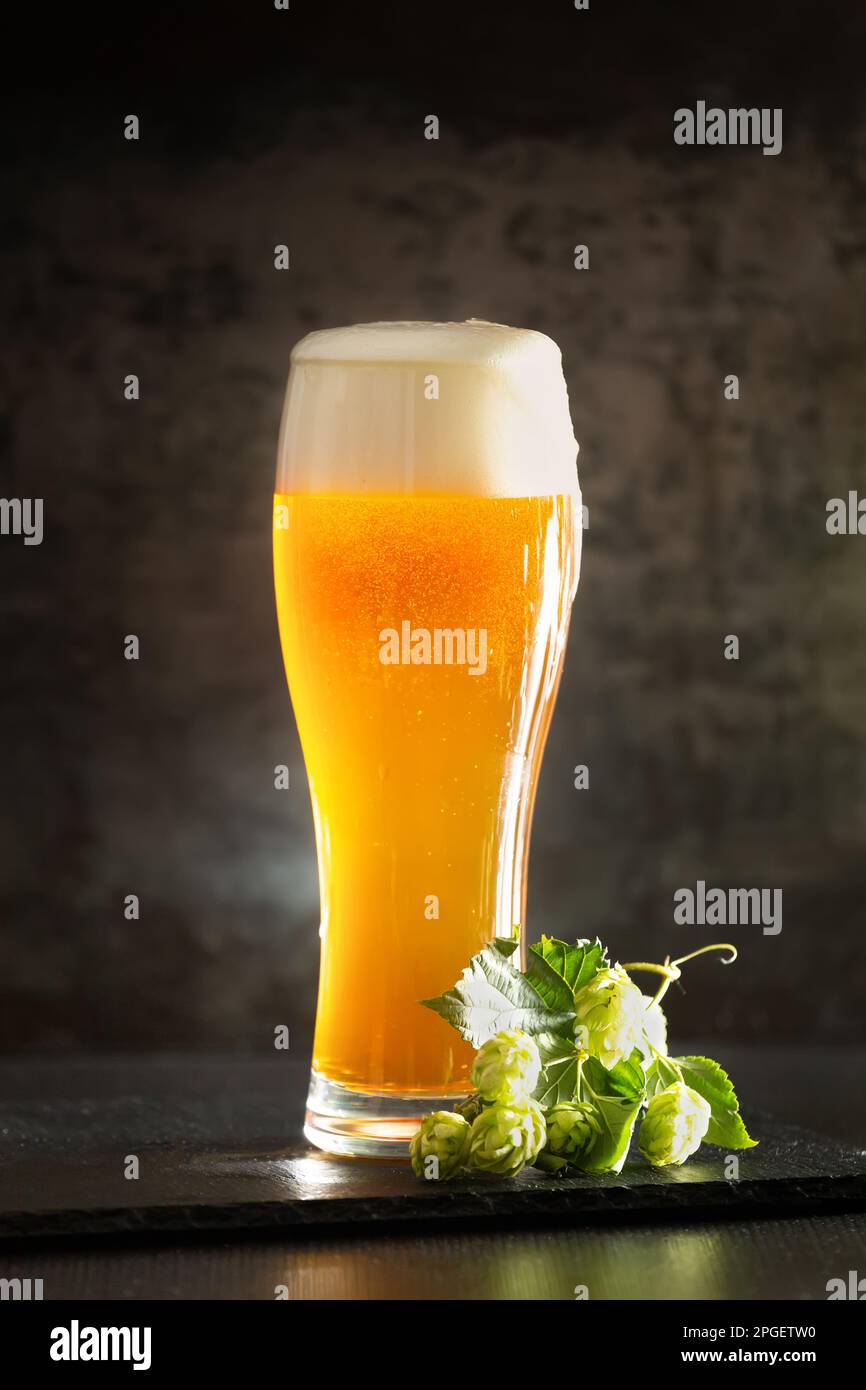 A glass of light beer with foam on a dark background and bunches of ...