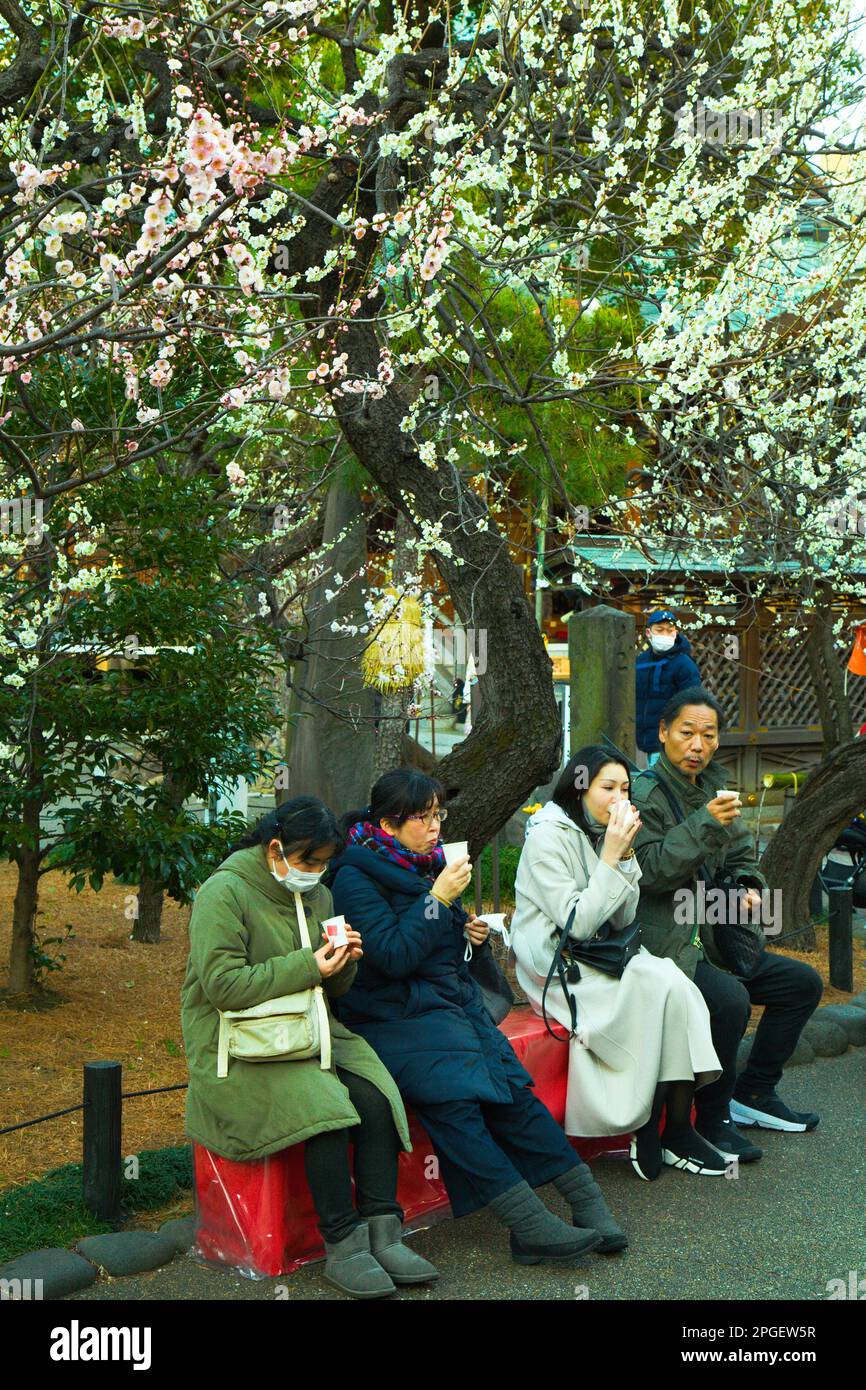 Japan, Tokyo, Yushima Tenmangu Shrine, plum blossom festival, people ...