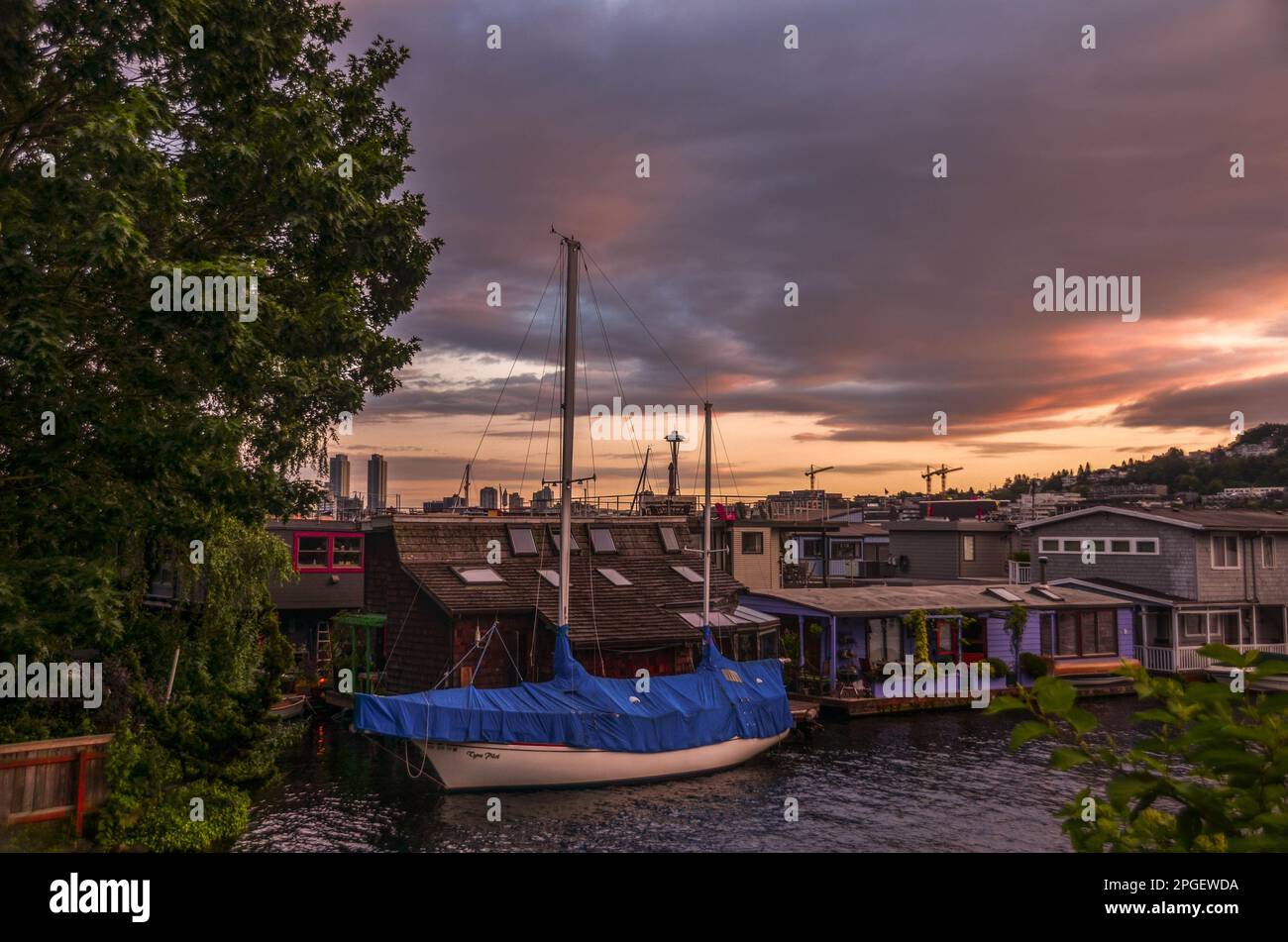 Seattle Space Needle caught in the background during a beautiful sunset ...