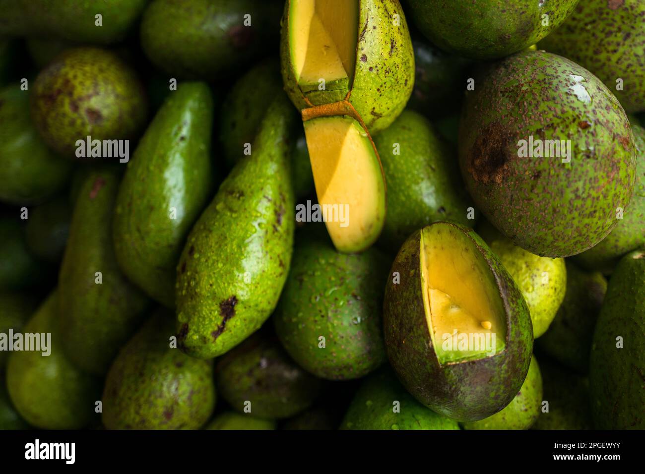The avocado show hi-res stock photography and images - Alamy