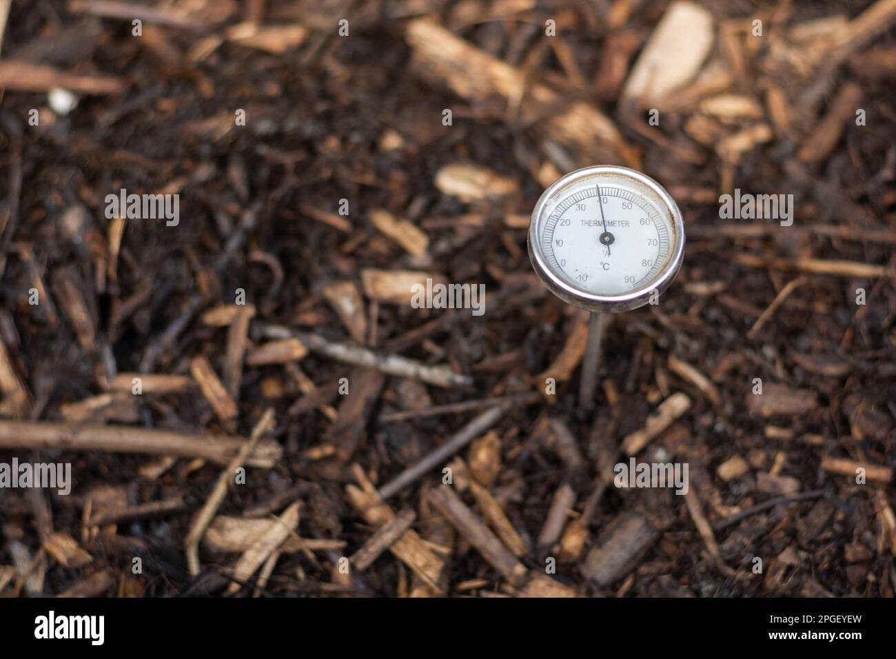 Immature compost managed in a community composter placed in a common ...