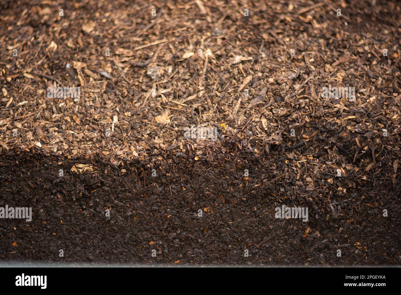 mature compost ready to use in garden produced in a community composter ...