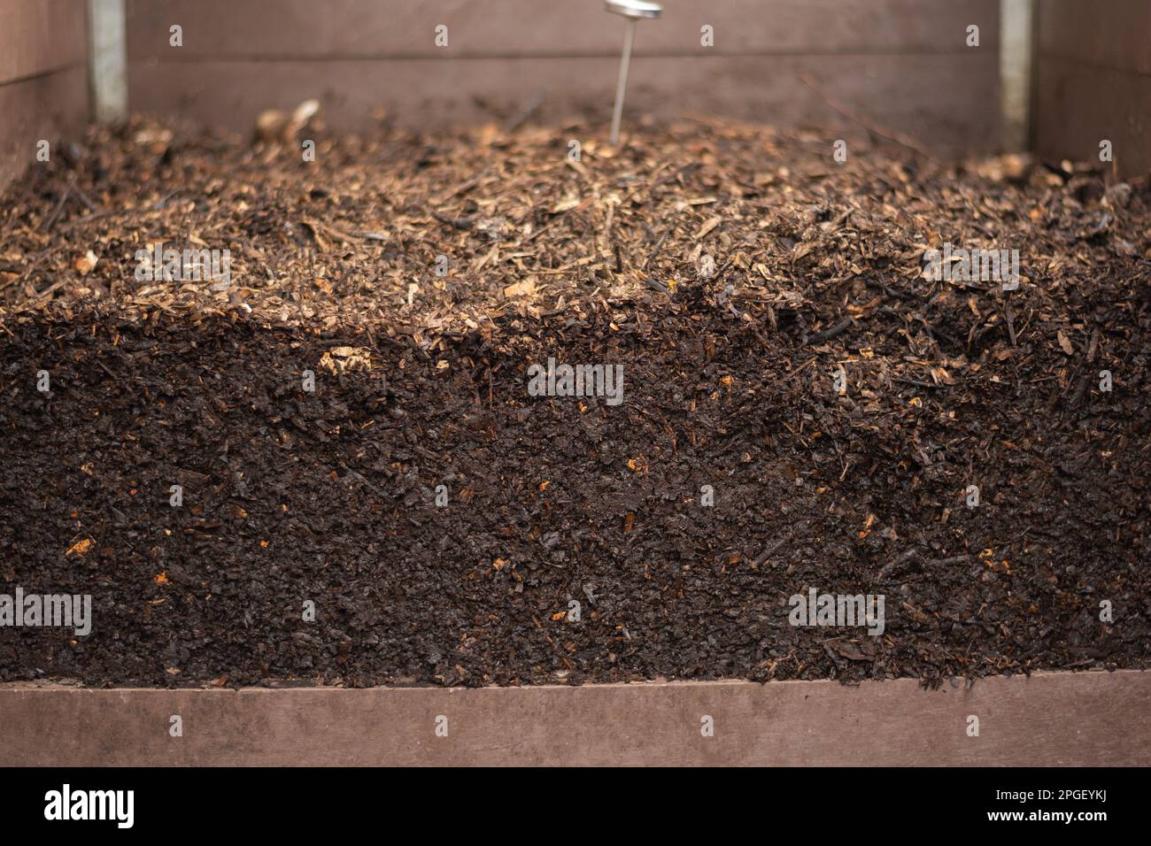 mature compost ready to use in garden produced in a community composter ...