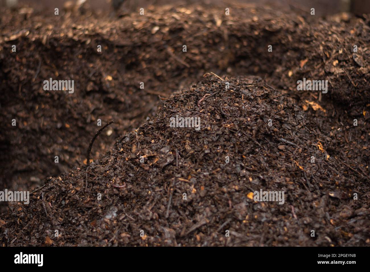 mature compost ready to use in garden produced in a community composter ...