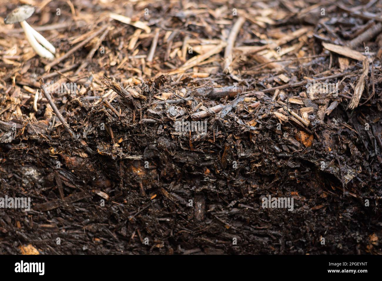 Immature compost managed in a community composter placed in a common ...