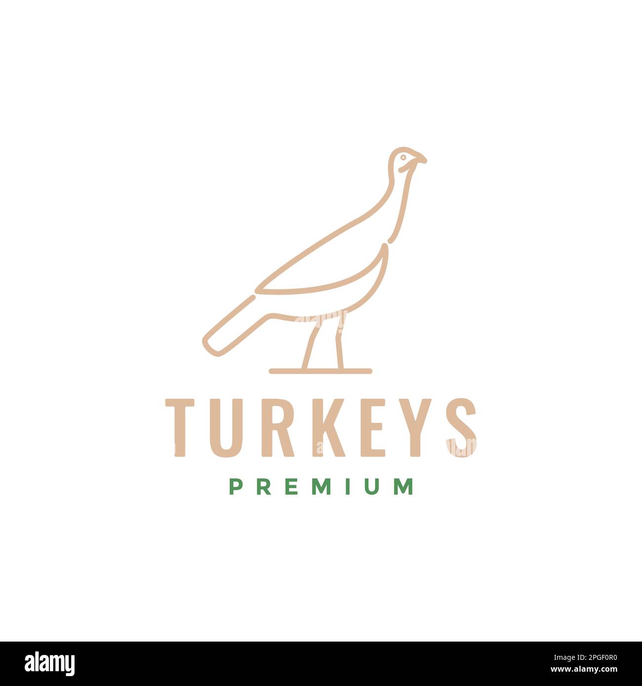bird poultry turkeys female line feminine logo design vector Stock ...
