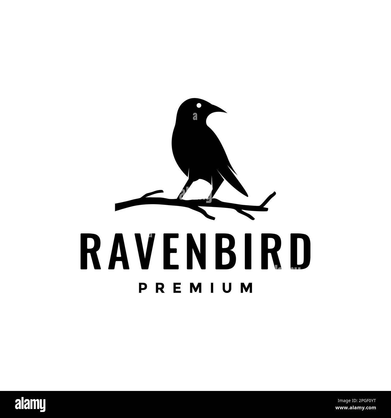 bird black raven focus hunting perched branch sky wildlife isolated ...