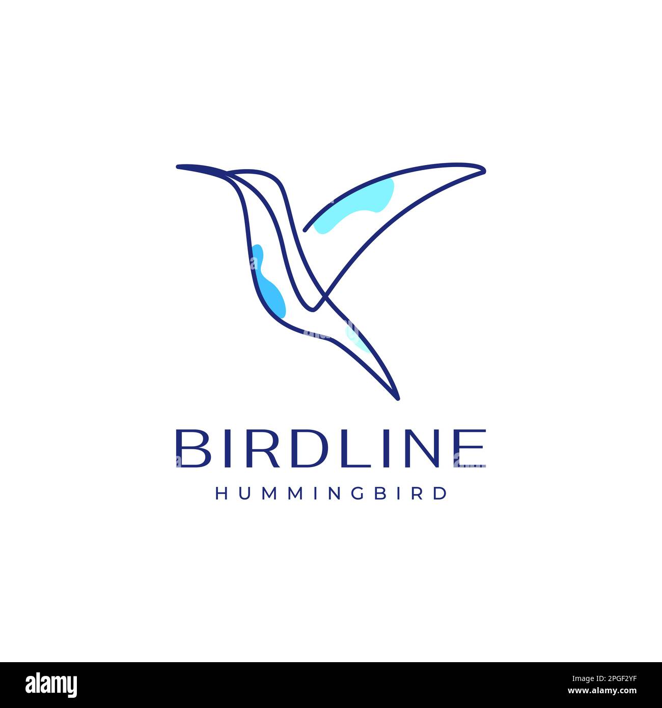 exotic beauty bird hummingbird long beak flying line abstract colorful ...