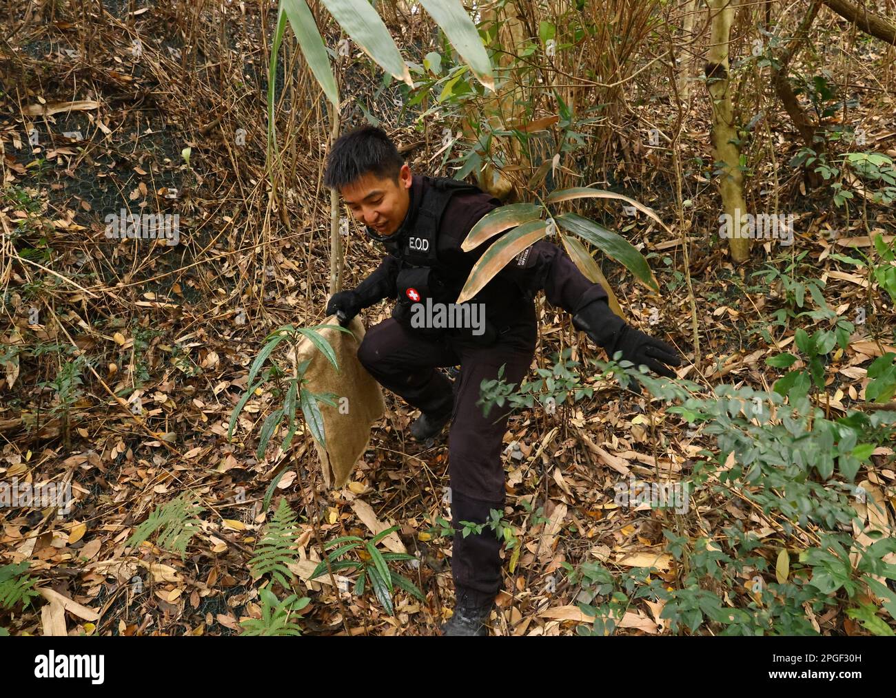 Explosive ordnance disposal eod hi-res stock photography and images - Alamy