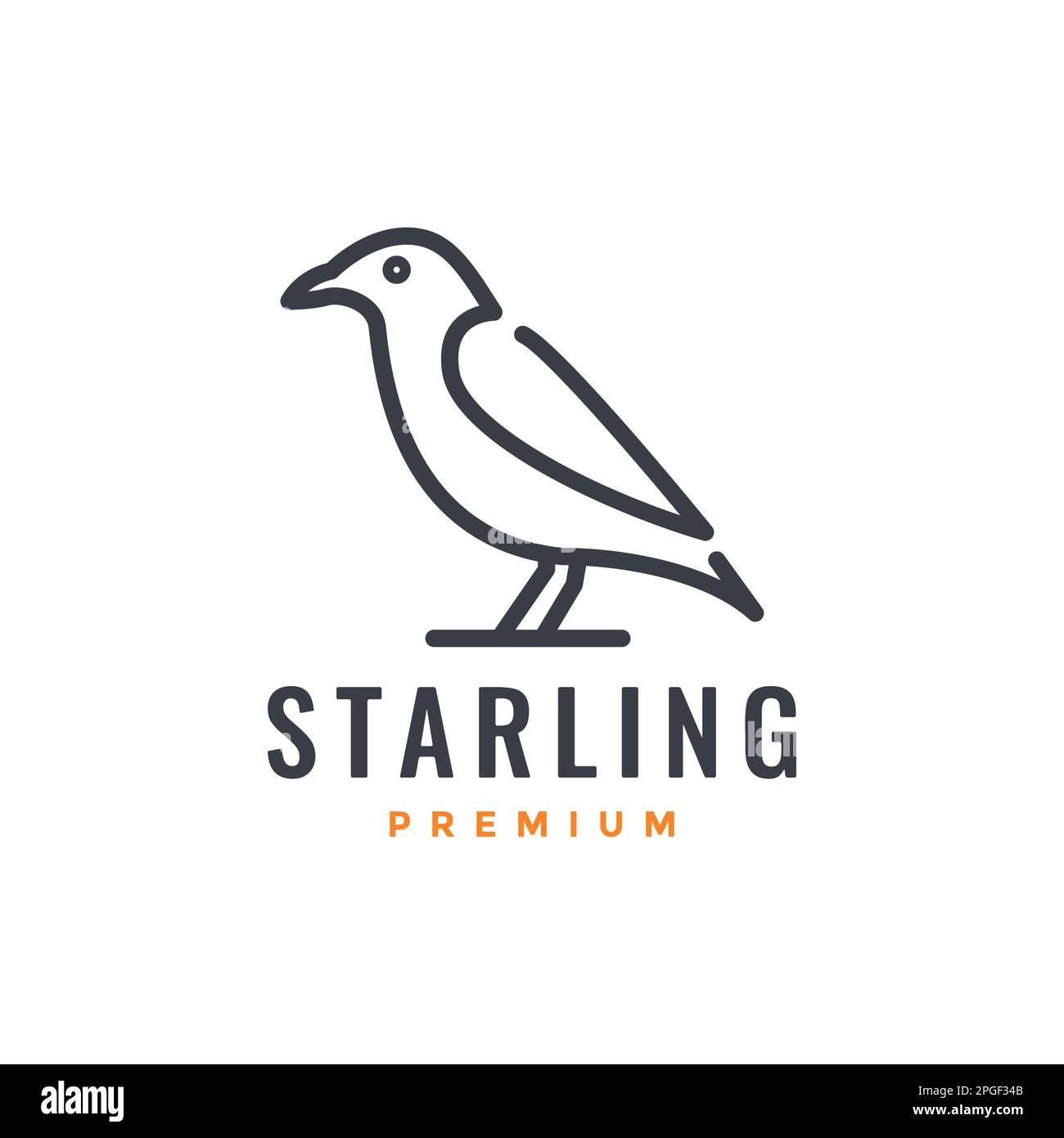 Starlings birds bird starling Stock Vector Images - Alamy Starlings birds bird starling Stock Vector Images - Alamy