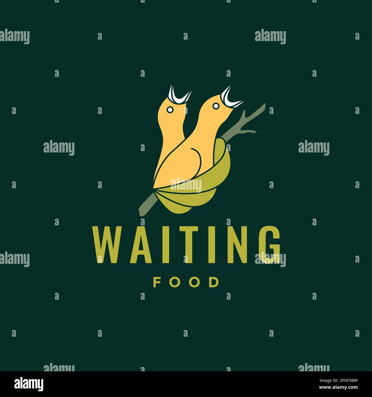 little bird nestling cheeper nest branch twig waiting food colorful ...