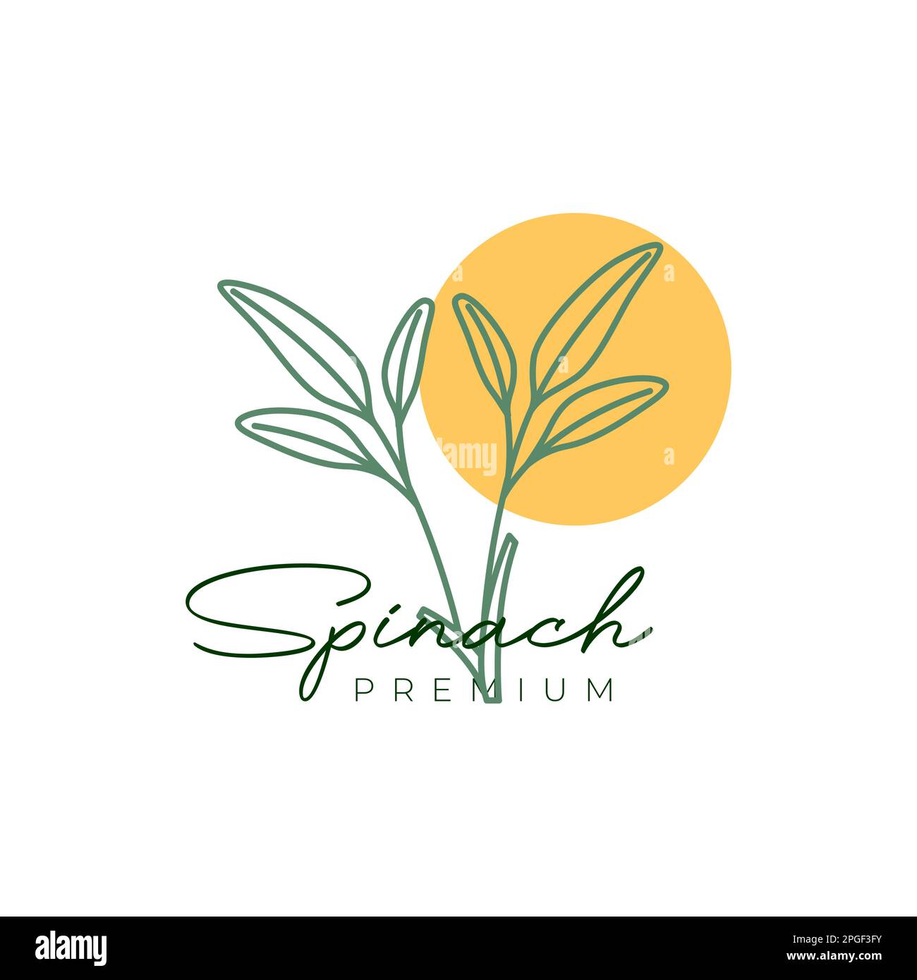 fresh vegetable water spinach leaves nutrition lines feminine logo ...