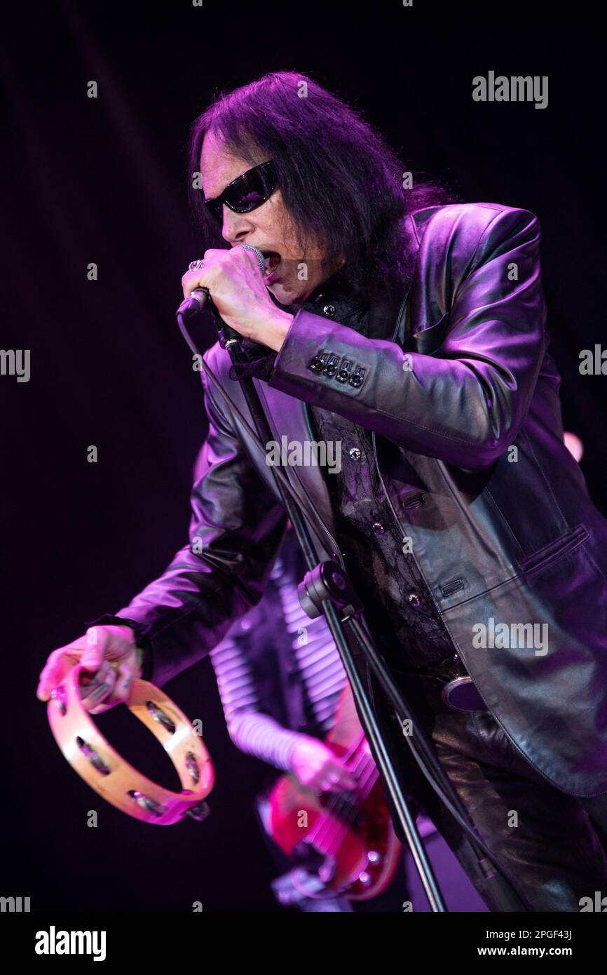 Fuzztones hi-res stock photography and images - Alamy