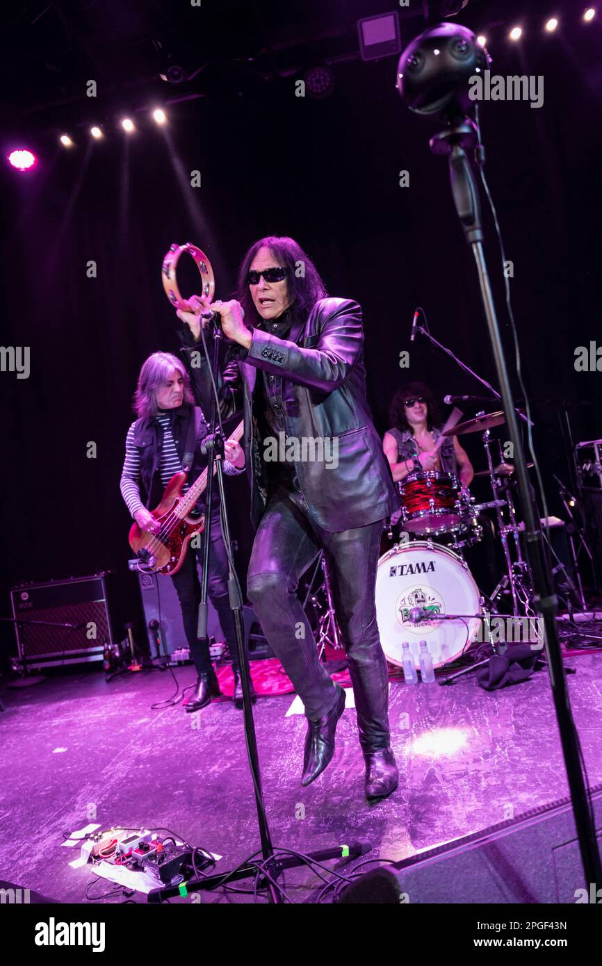 Fuzztones hi-res stock photography and images - Alamy